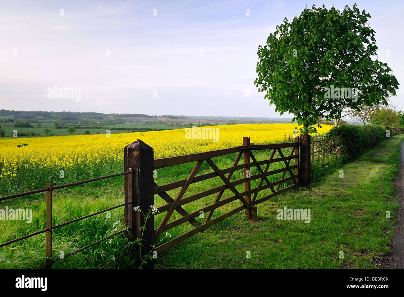 British spring colours Stock Photo - Alamy