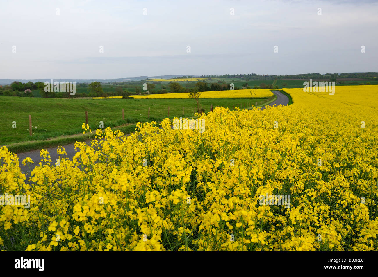 British spring colours Stock Photo - Alamy