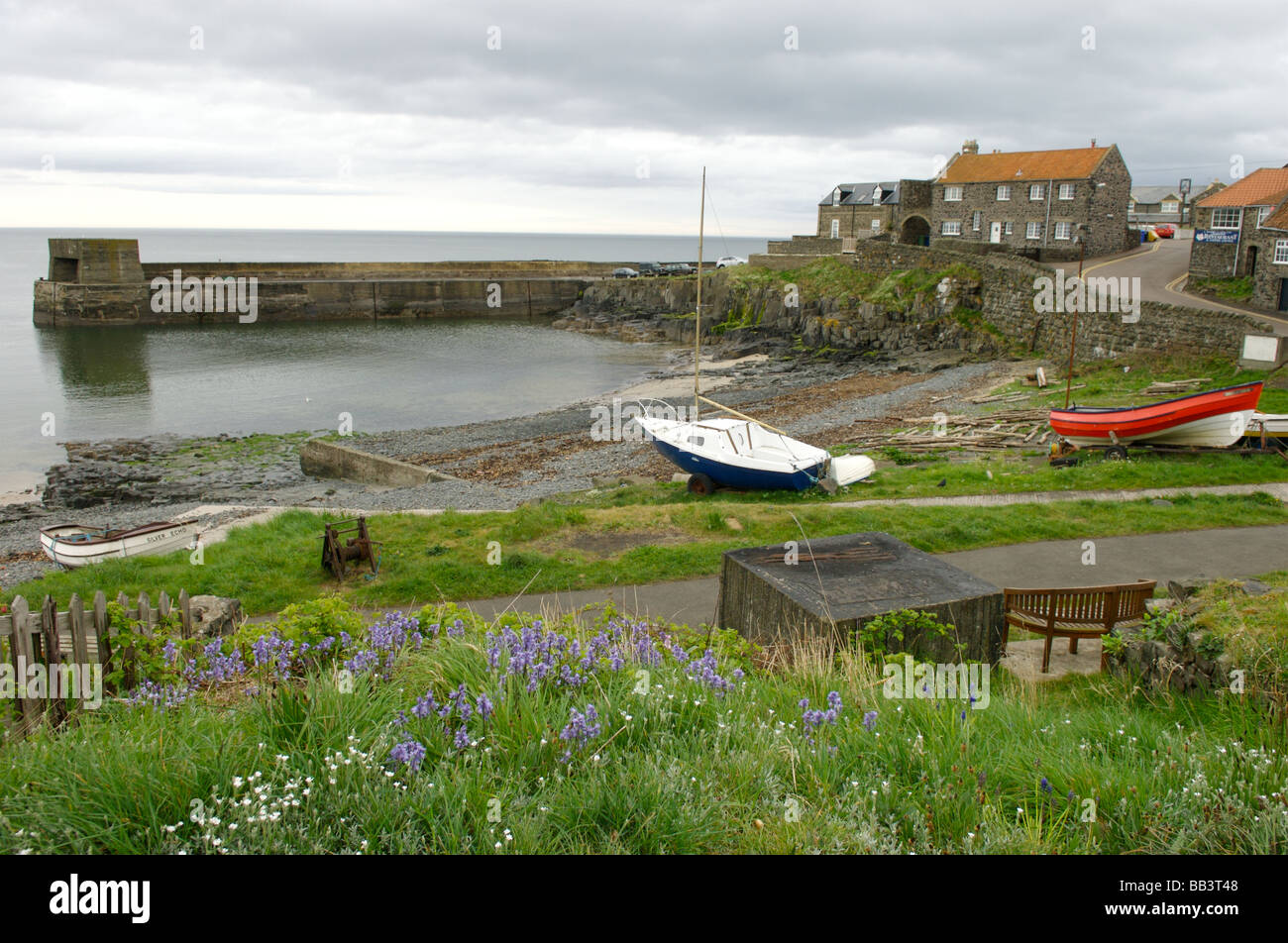 Fishing boats the harbour in the village of craster northumberland hi ...