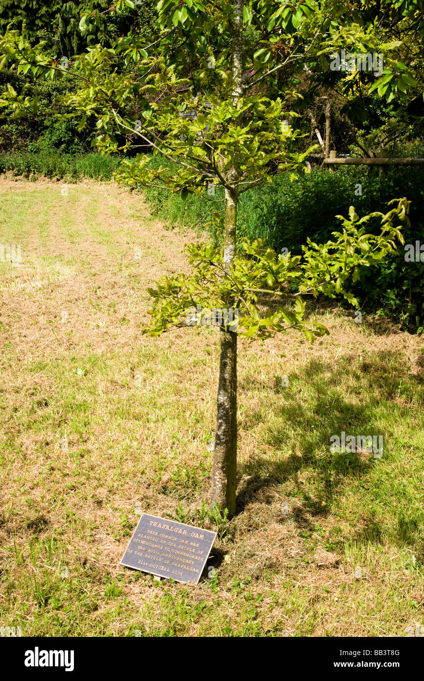 The trafalgar memorial hi-res stock photography and images - Alamy