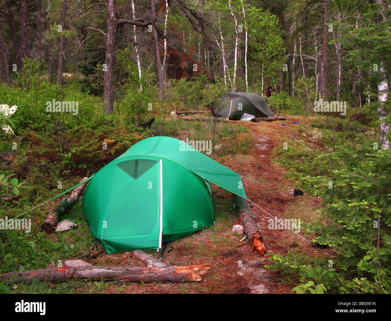 The campsite Warmlite tents in the woods Stock Photo - Alamy