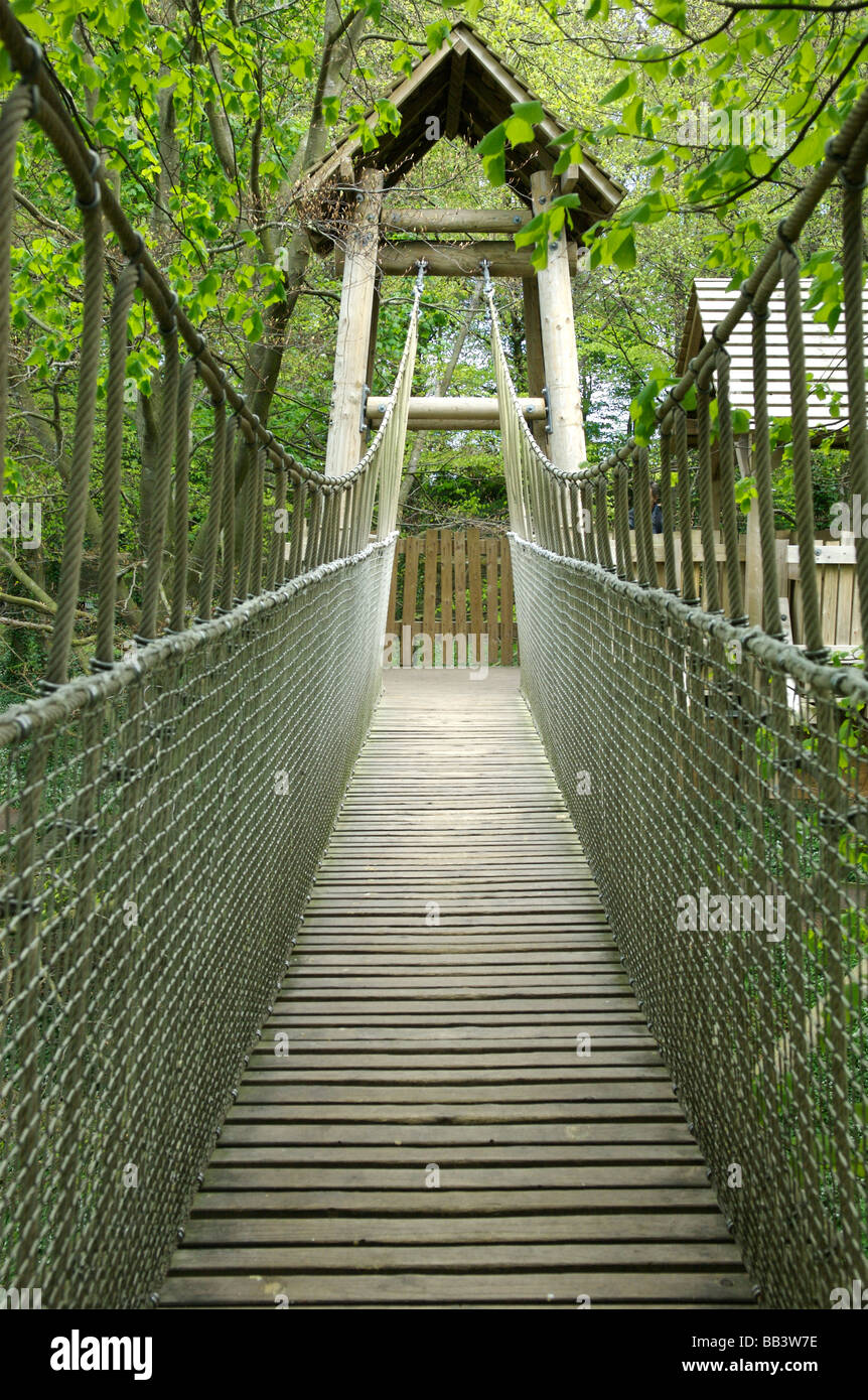 Part of the Tree House, Alnwick Castle, Northumberland Stock Photo - Alamy