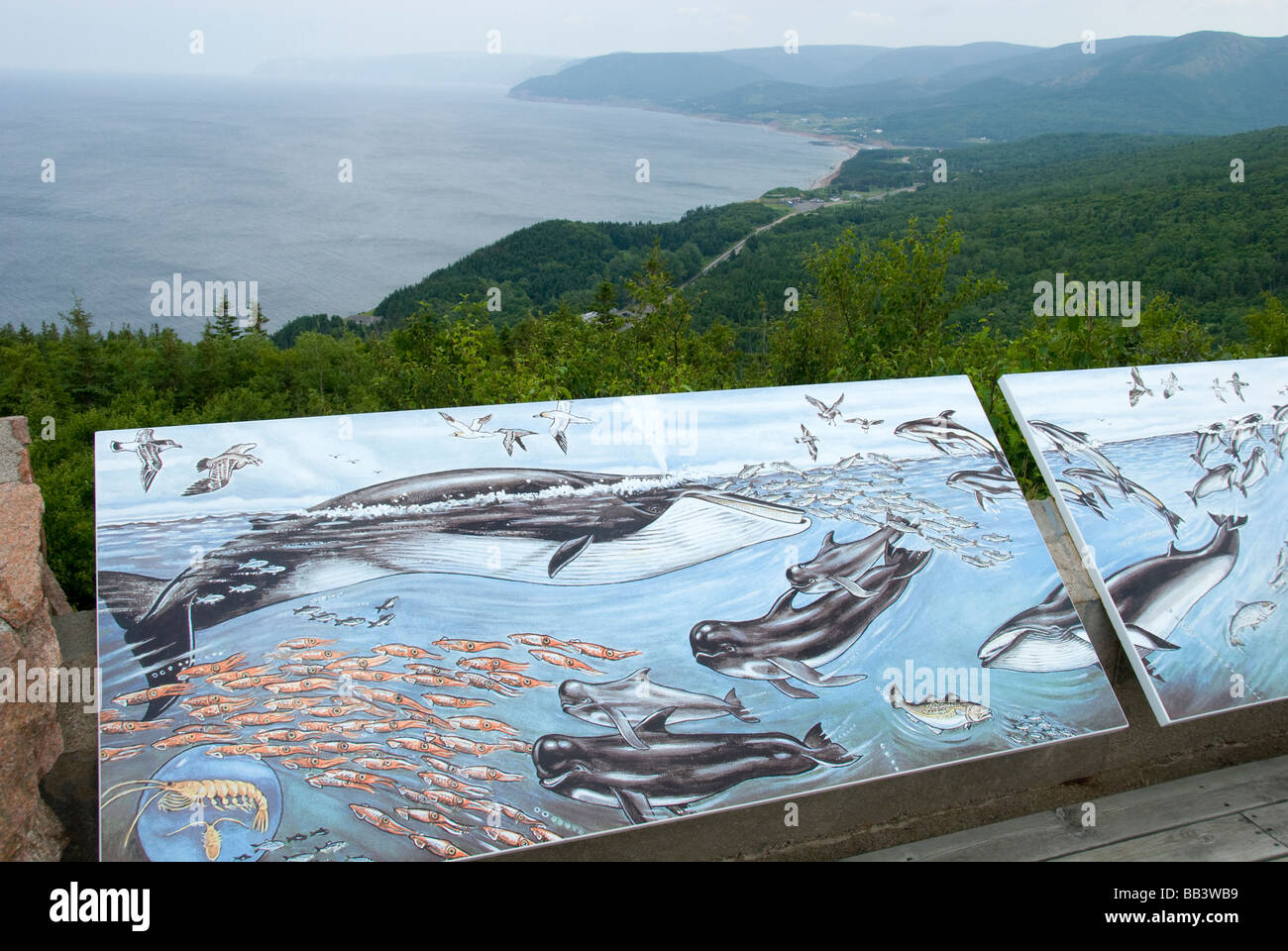 Canada, Nova Scotia, Cape Breton Island, Cabot Trail. Wreck Cove Point ...