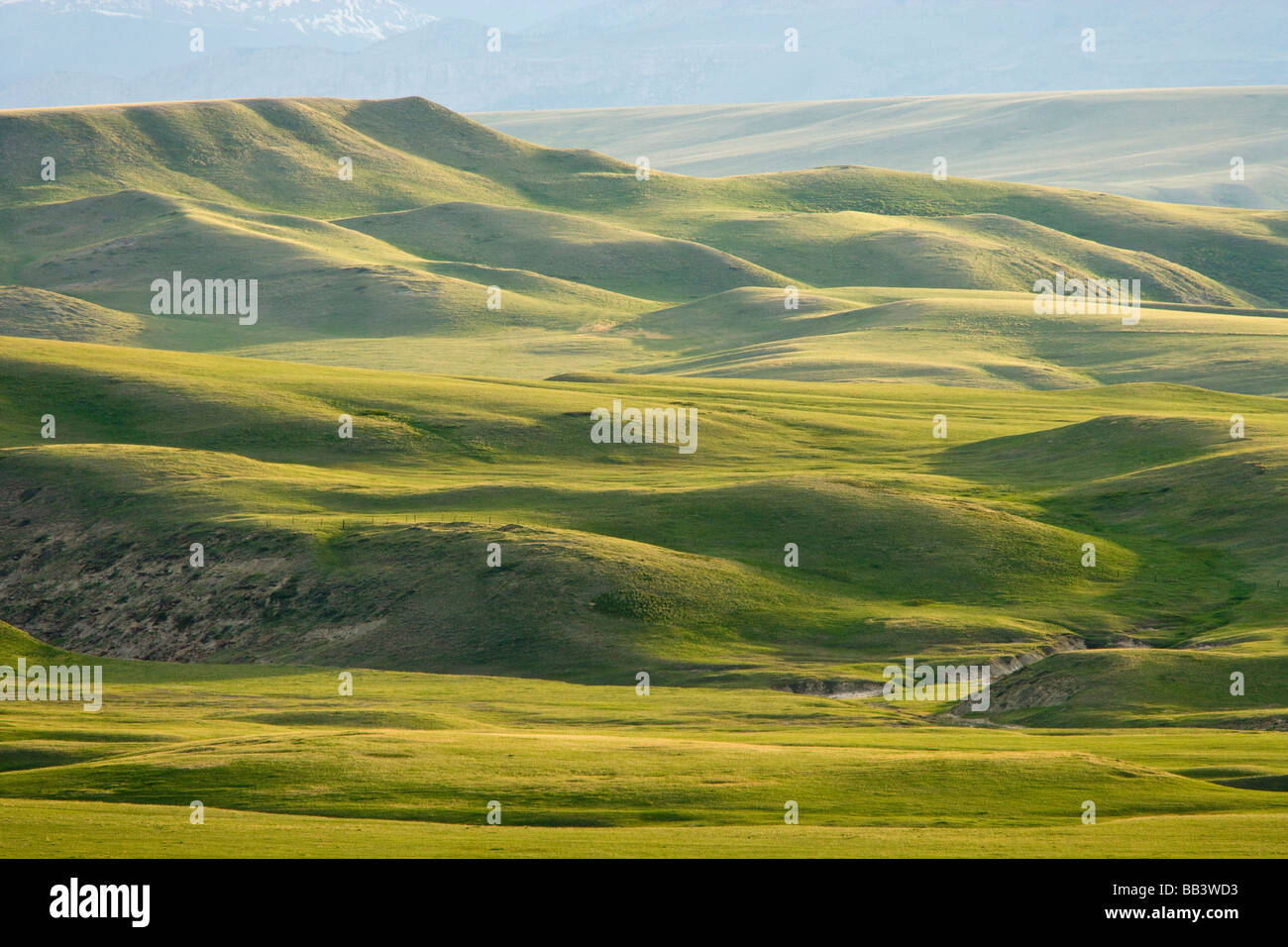 USA, Montana, Rocky Mountain Front. Green hills east of Great Falls ...