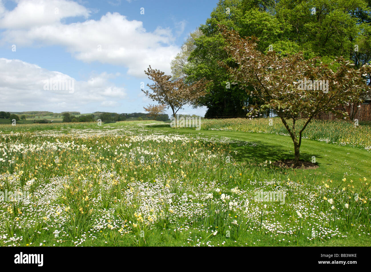 A beautiful English meadow at Alnwick castle, Northumberland Stock ...
