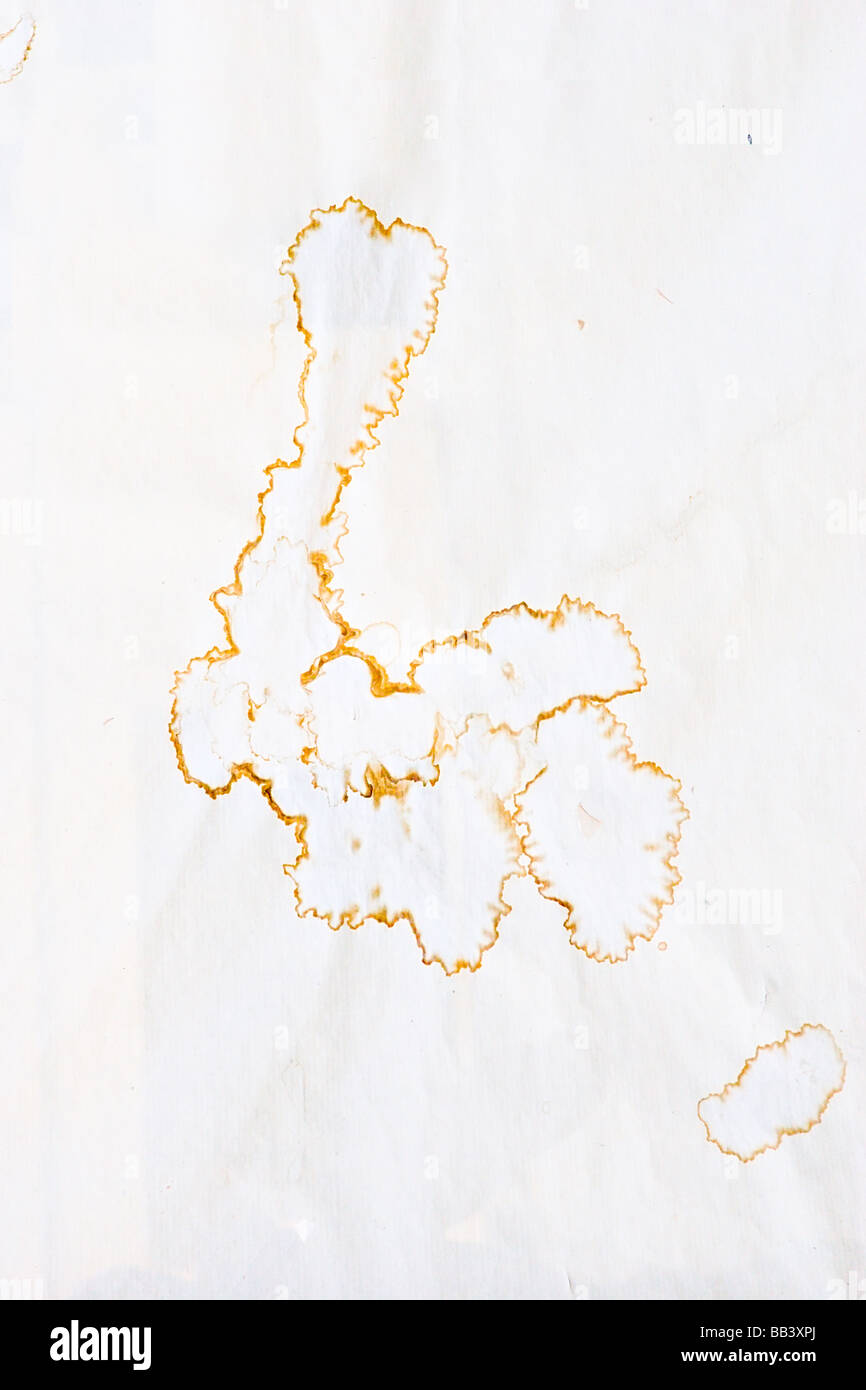 Old paper texture ink spots hi-res stock photography and images - Alamy