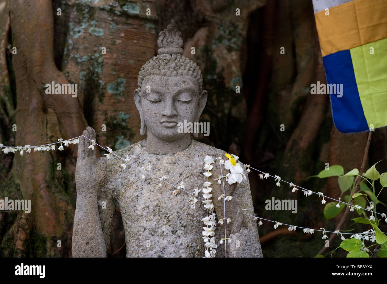 Buddha under the bo tree hi-res stock photography and images - Alamy