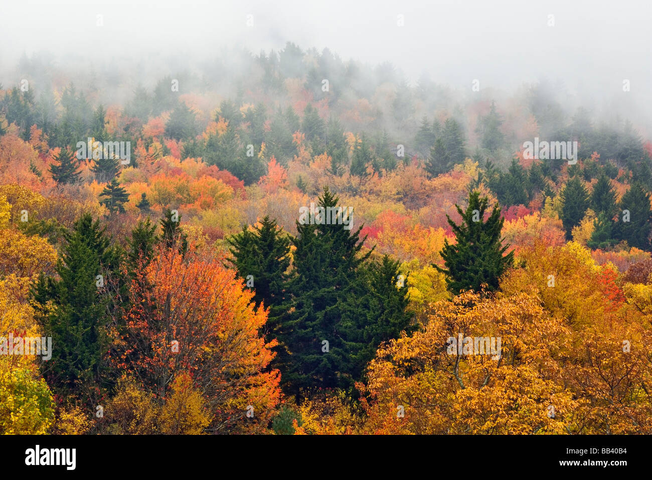Fall colors in the southern Appalachian Mountains near Grandfather ...