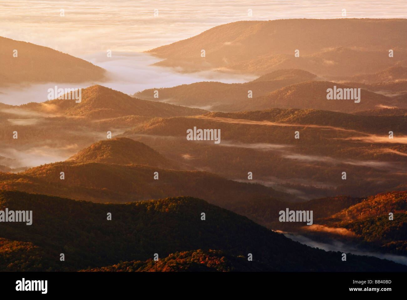 Mountain mist at sunrise from Grandfather Mountain, North Carolina ...
