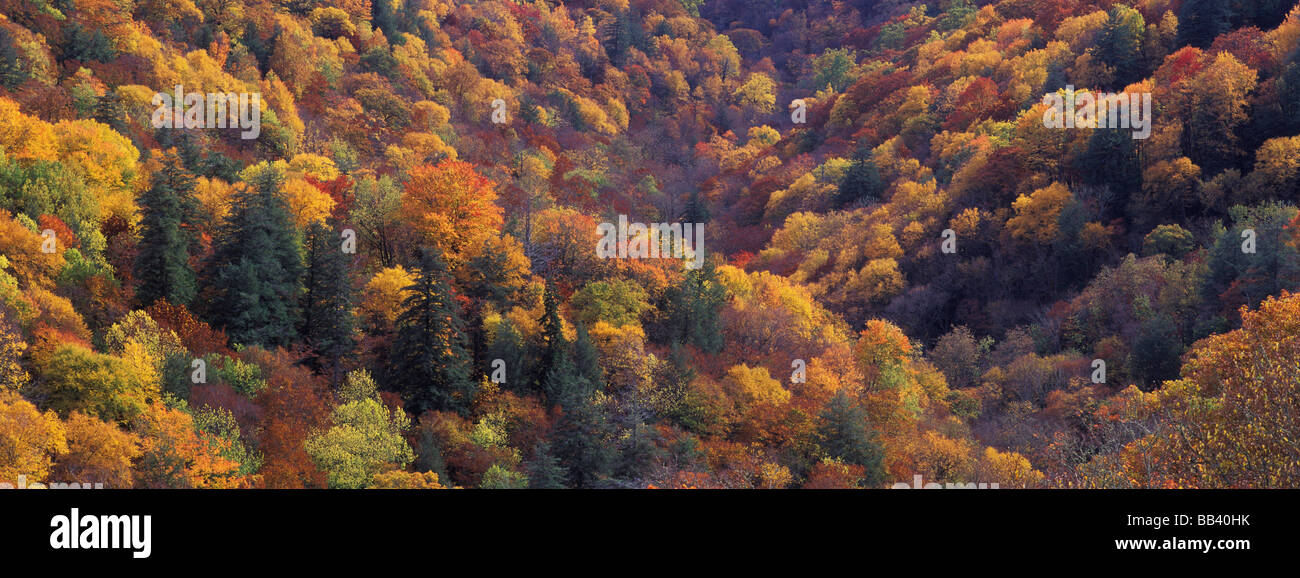 Thomas divide hi-res stock photography and images - Alamy