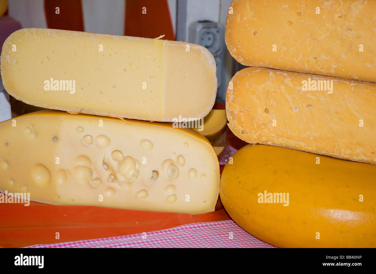 Europe, Belgium, Flanders, Antwerp Province, Antwerp, cheese at open ...