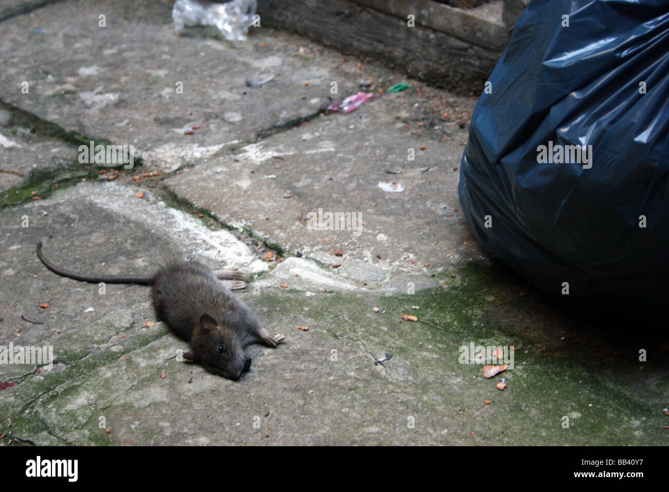 Death spot hi-res stock photography and images - Alamy