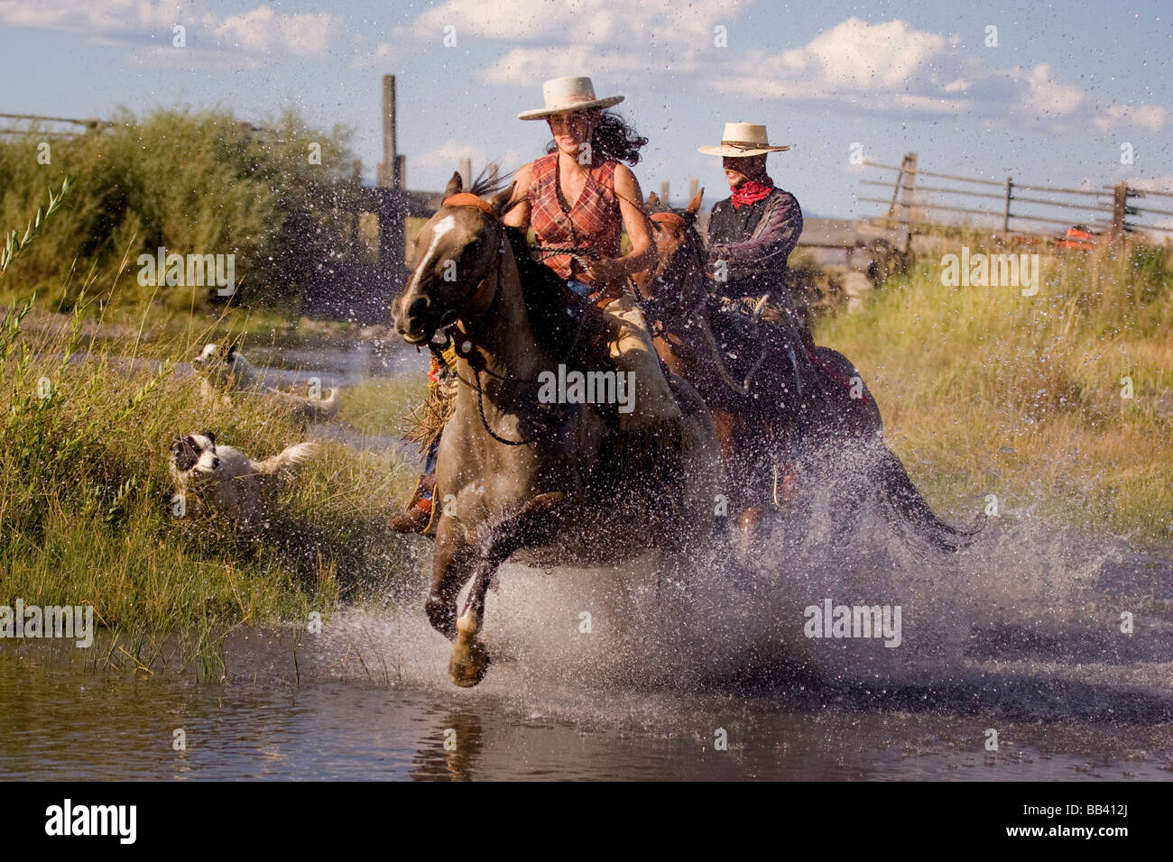 Man riding horse through water hi-res stock photography and images - Alamy