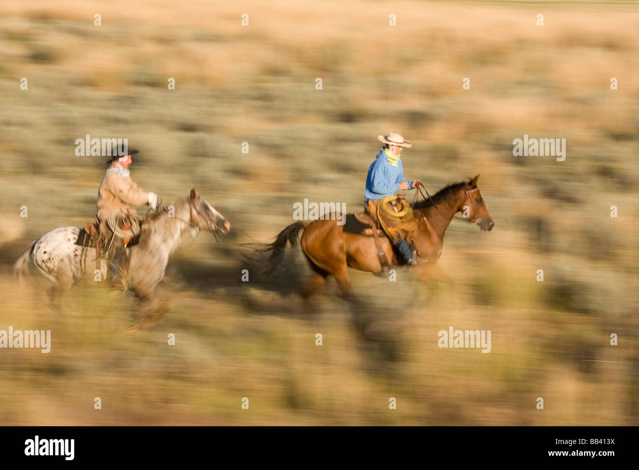 USA, Oregon, Seneca, Ponderosa Ranch. Two cowboys on horseback riding ...