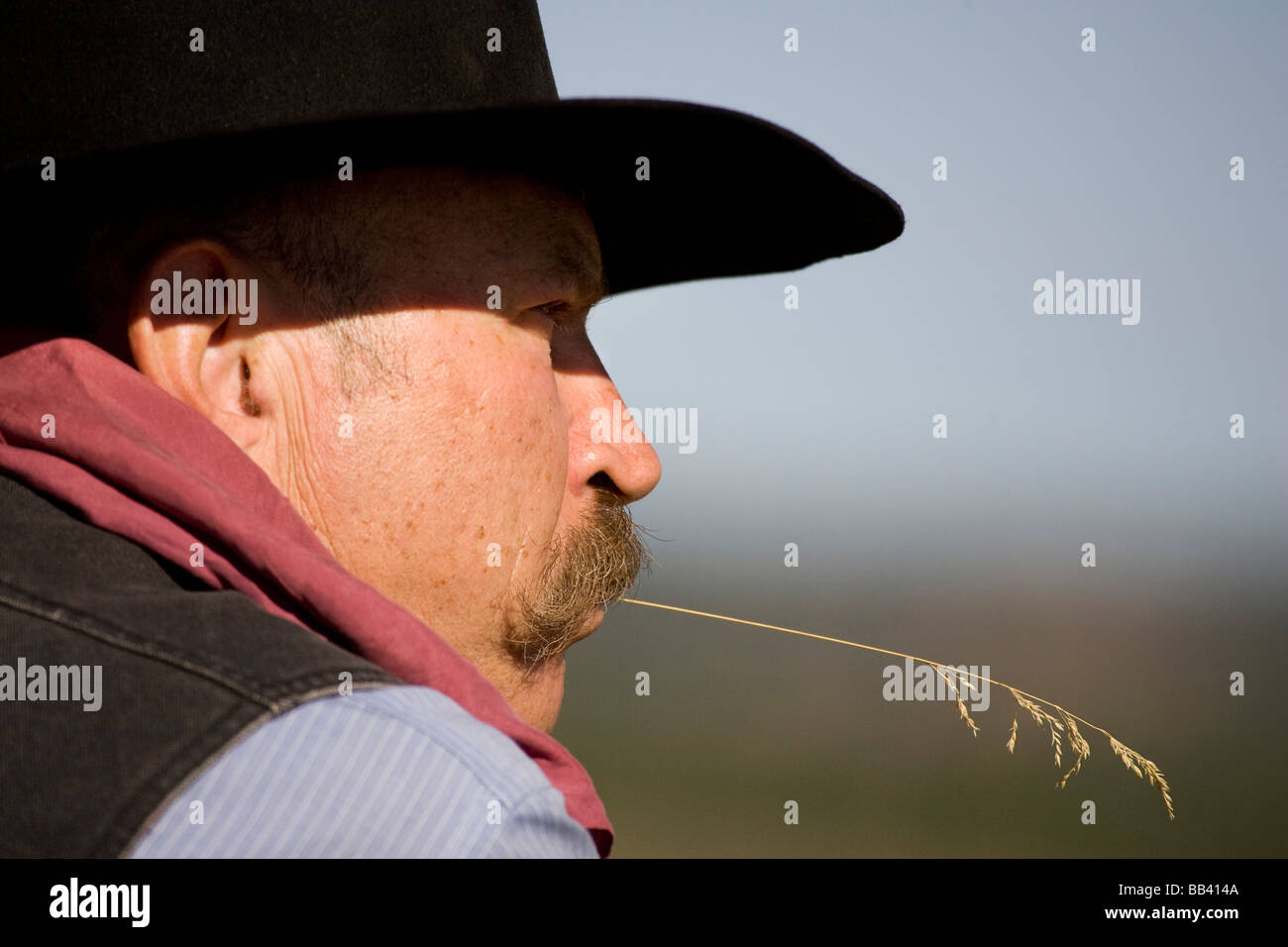 USA, Oregon, Seneca, Ponderosa Ranch. Profile portrait of a cowboy with ...
