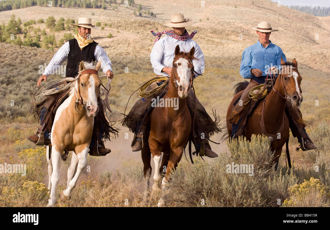 USA, Oregon, Seneca, Ponderosa Ranch. Three cowboys on gallop on ...