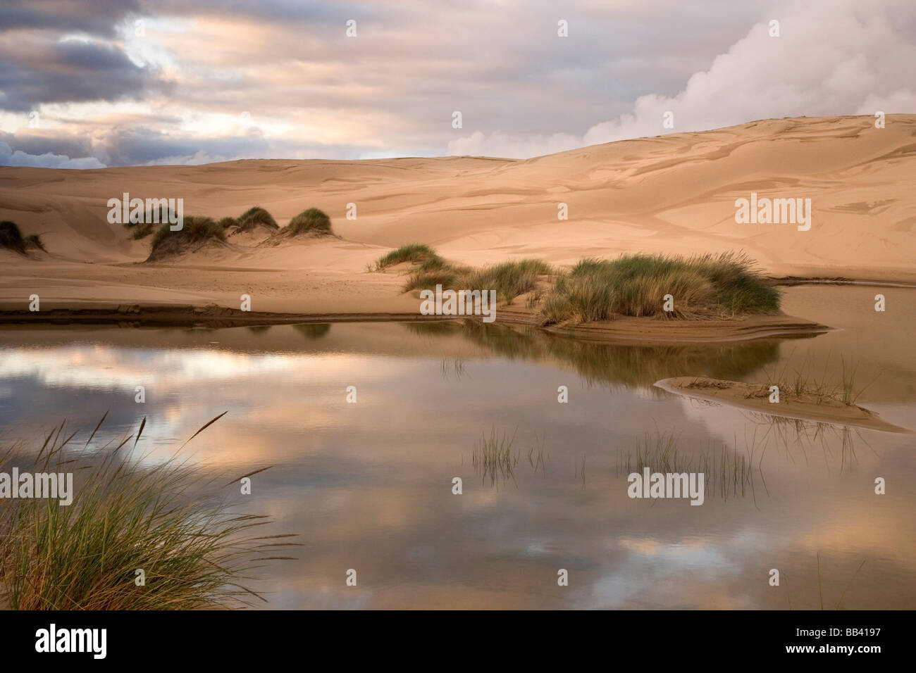 USA, Oregon, Siuslaw National Forest, Umpqua Dunes. Contrast of a lake ...