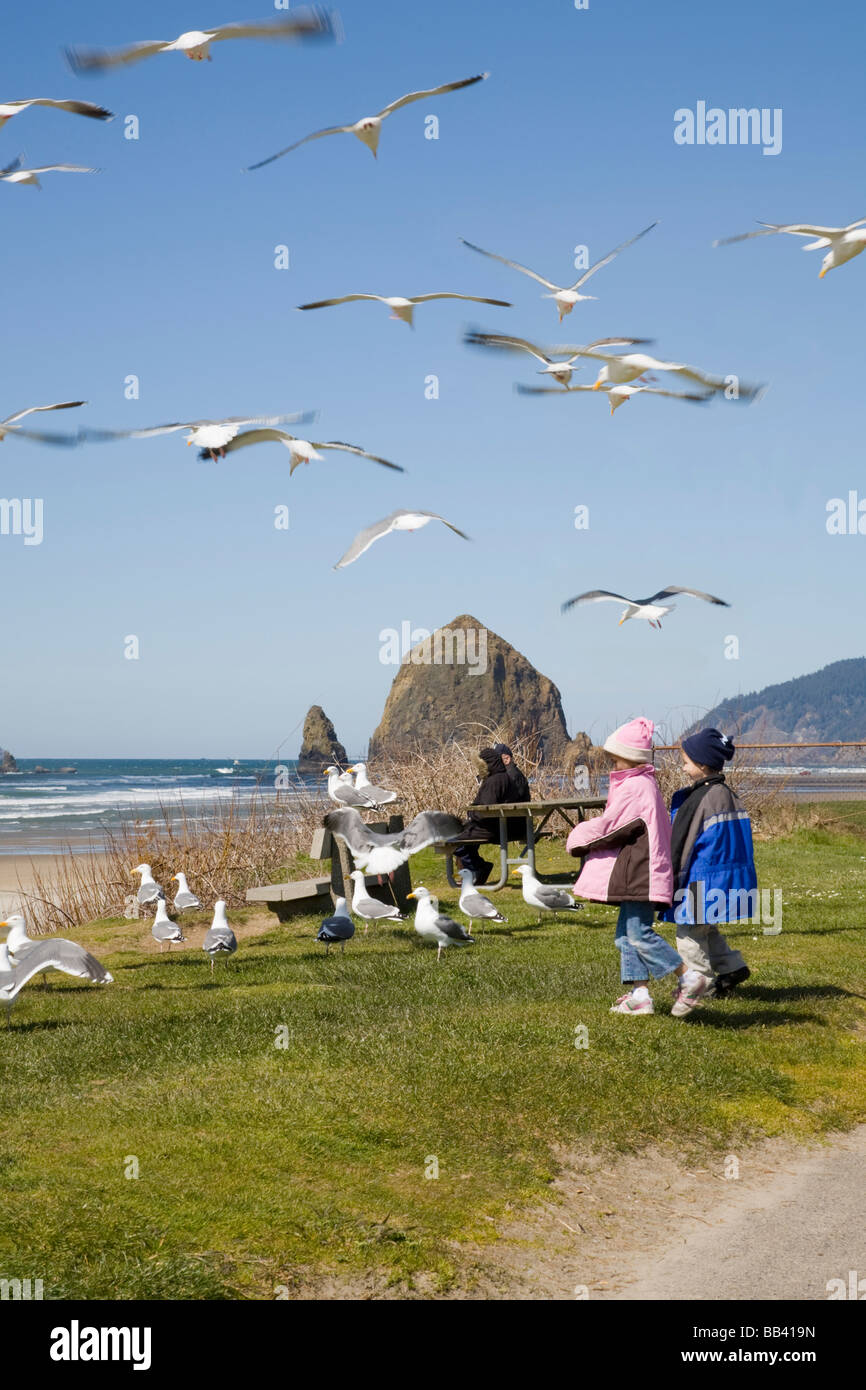 OR, Oregon Coast, Cannon Beach, feeding the sea gulls, Haystack Rock in ...