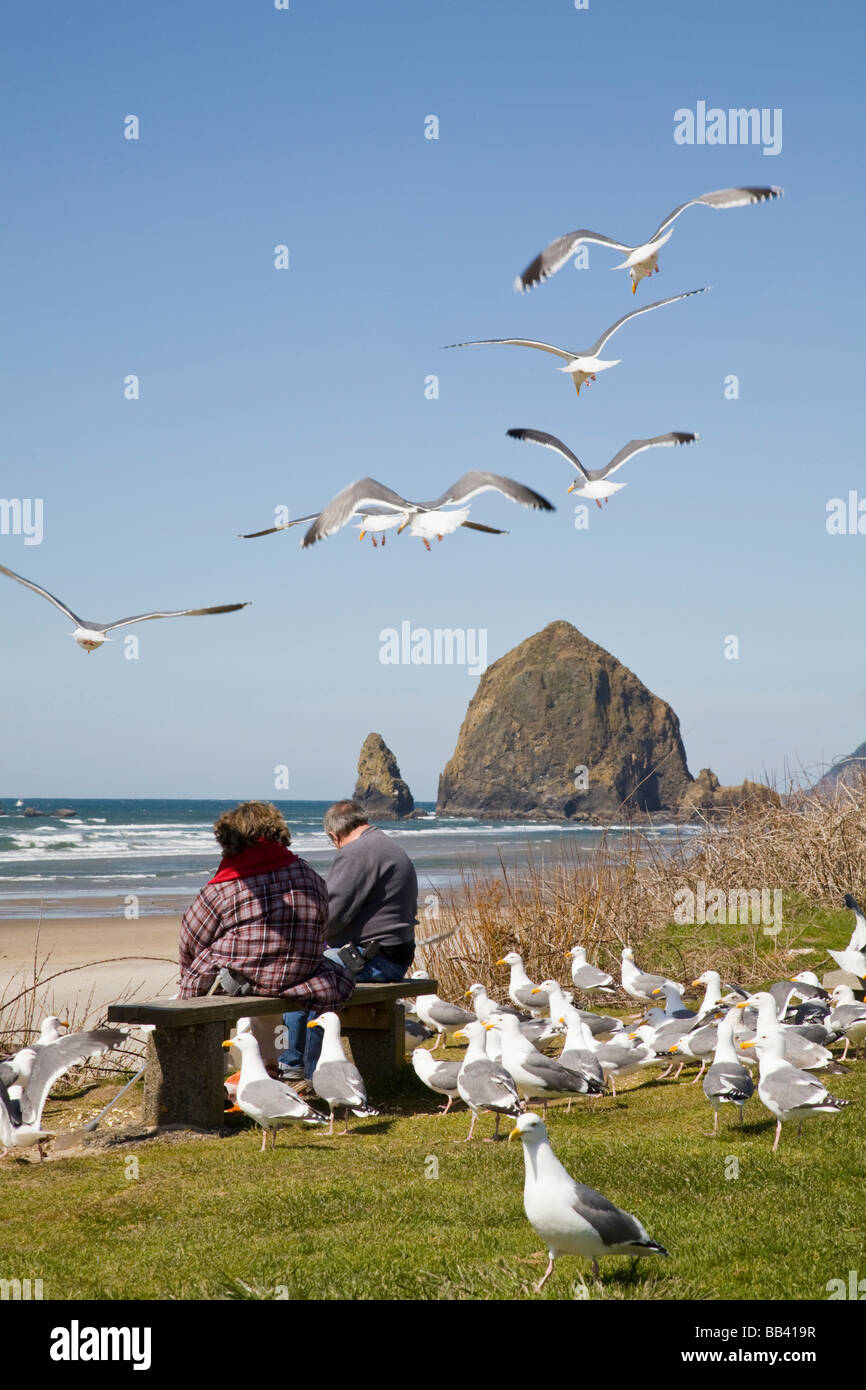 OR, Oregon Coast, Cannon Beach, feeding the sea gulls, Haystack Rock in ...