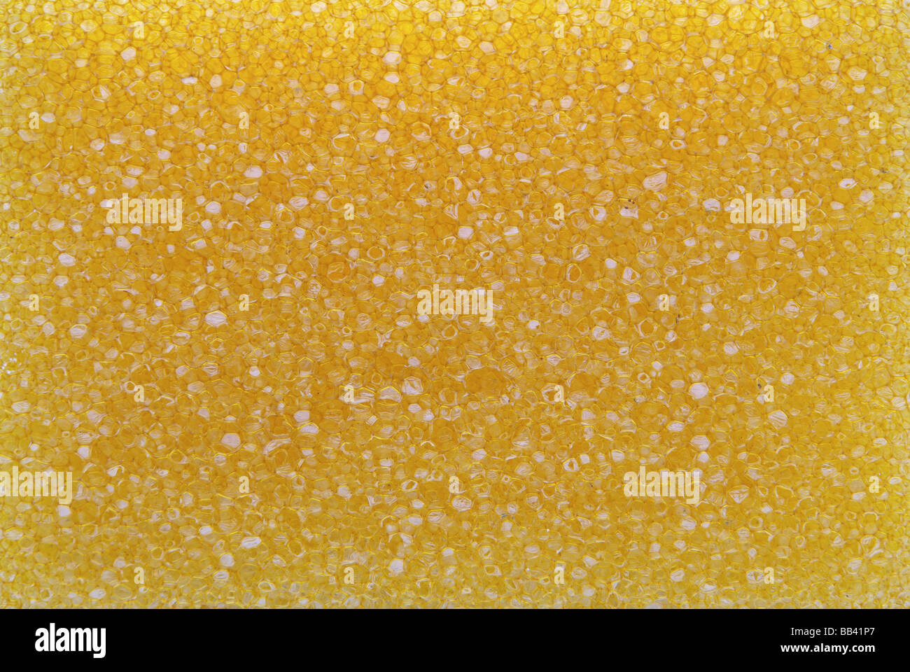 Sponge texture hi-res stock photography and images - Alamy