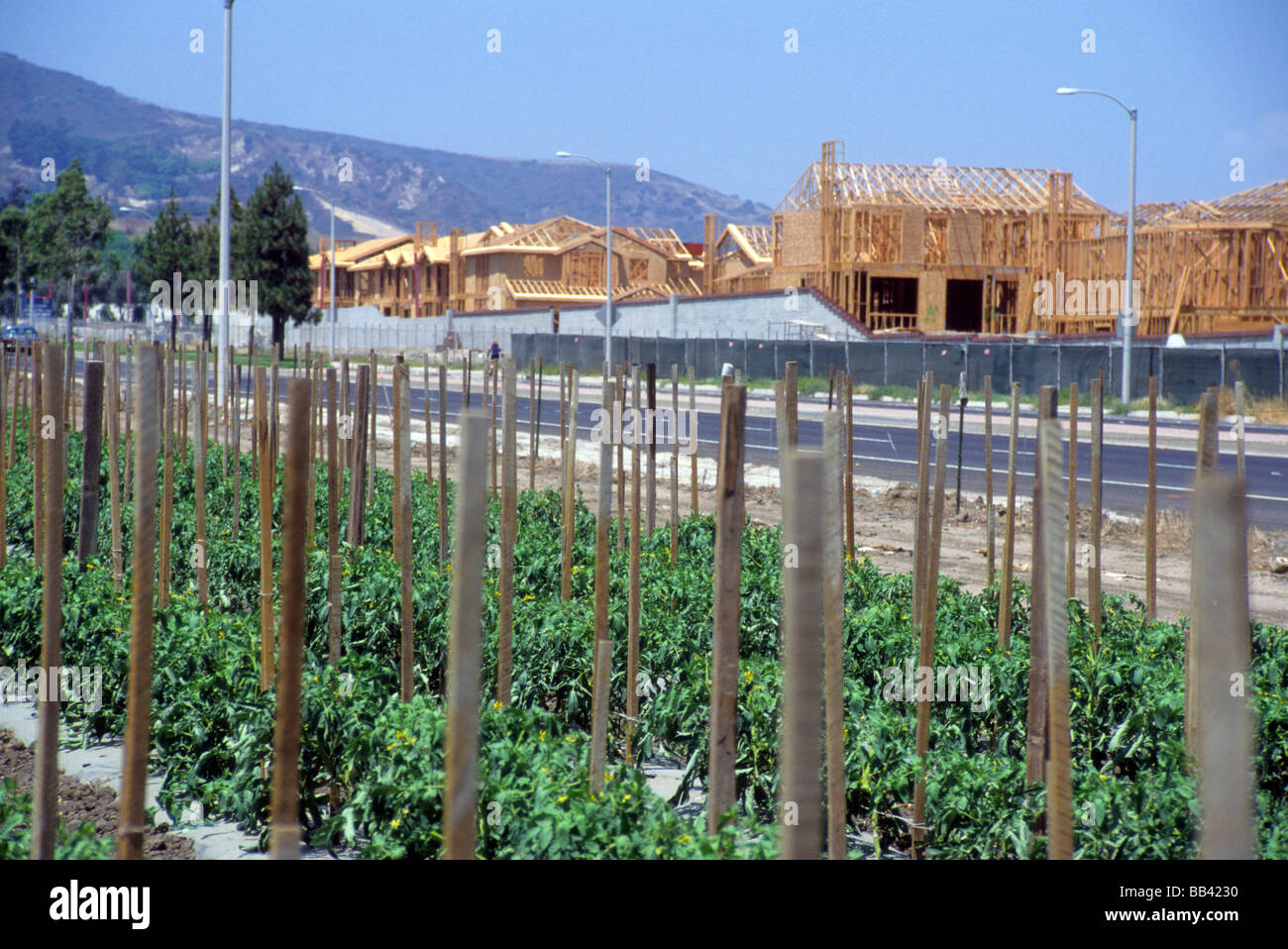 farm agriculture home build tract encroach city ranch move grow advance ...