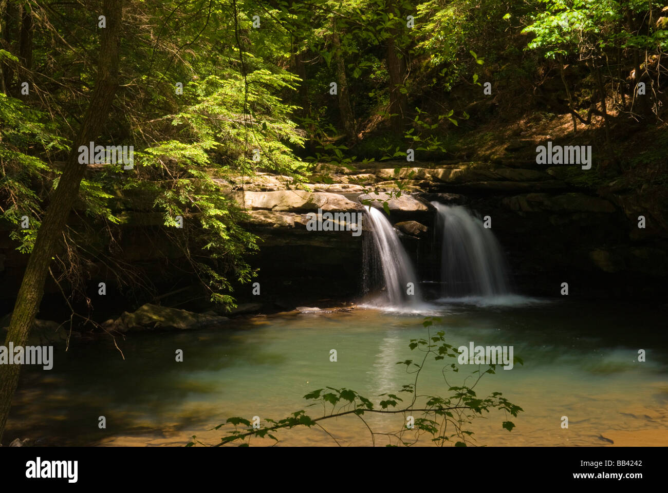 USA, TN, South Cumberland State Park. Fiery Gizzard Trail, Blue Hole ...