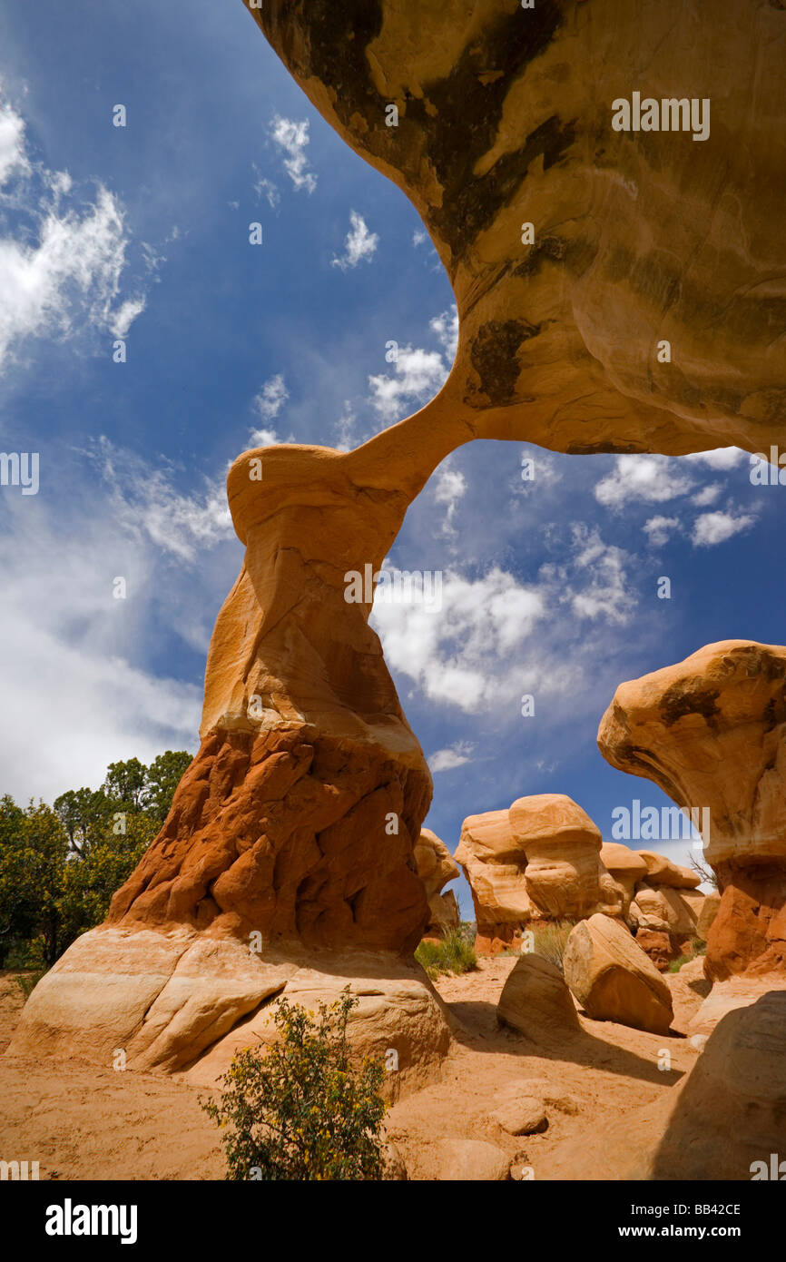 USA, Utah, Escalante Grand Staircase National Monument, Devil's Garden ...