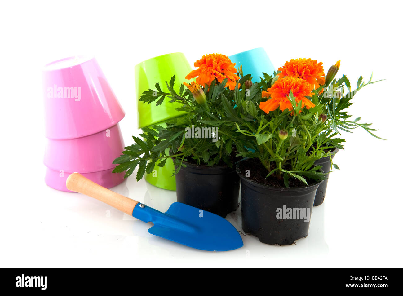 Colorful pots Cut Out Stock Images & Pictures - Alamy