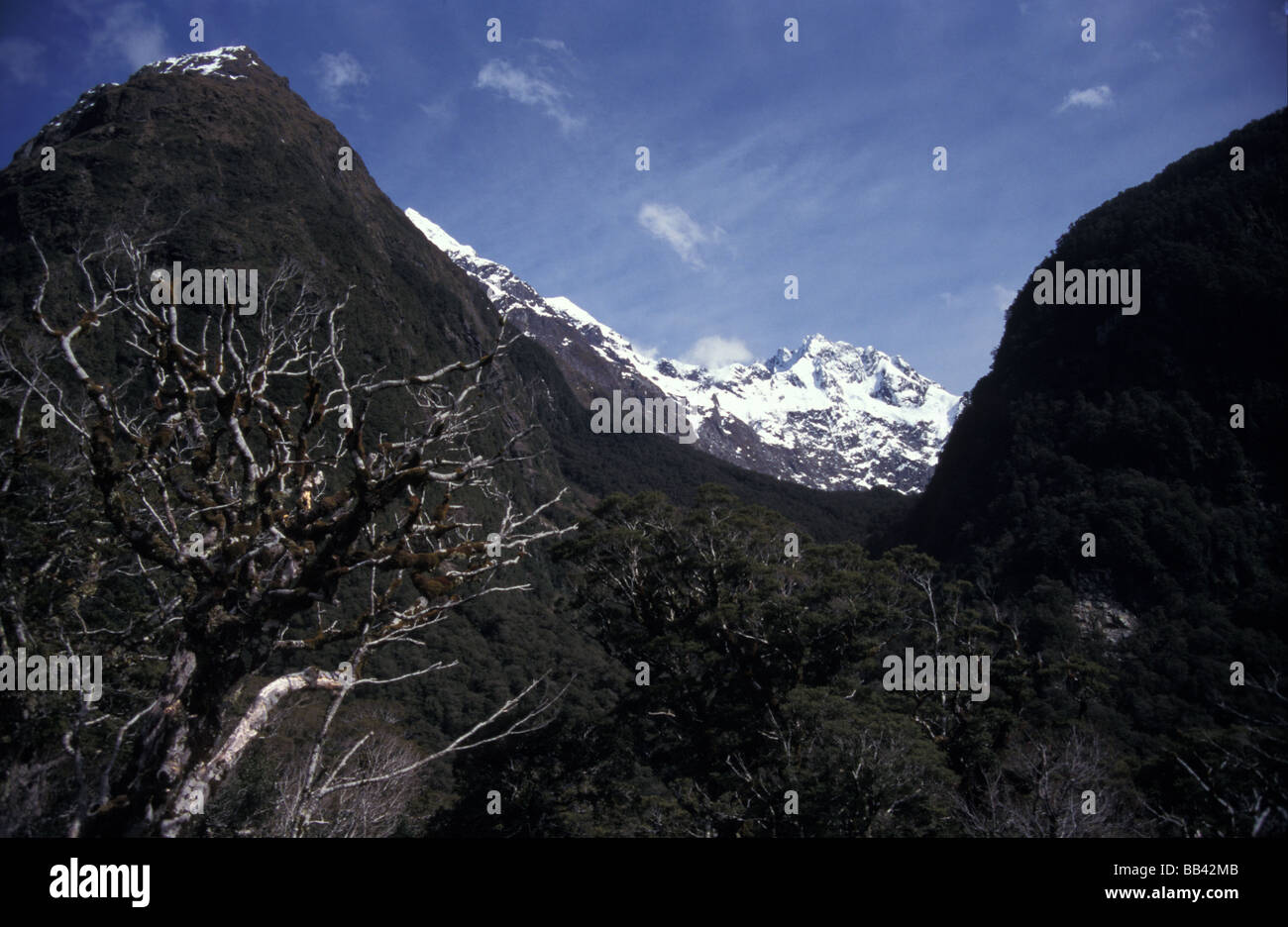 glaciated U shaped valley snowy peaks Milford Sound Fiordland National ...