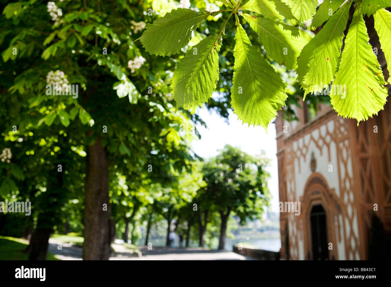 Chestnut villa hi-res stock photography and images - Alamy