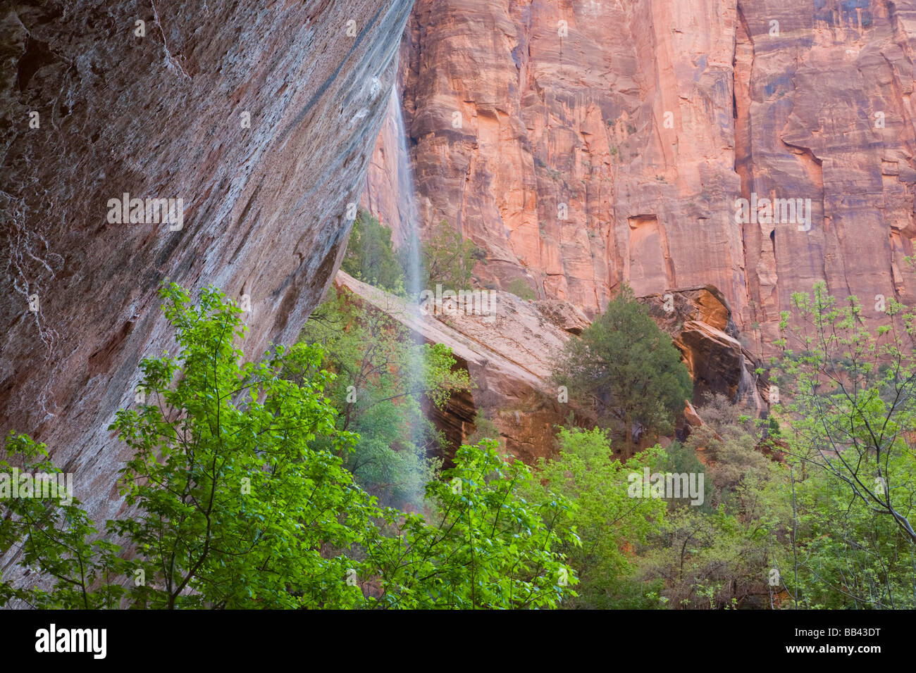 Lower emerald pool zion spring hi-res stock photography and images - Alamy