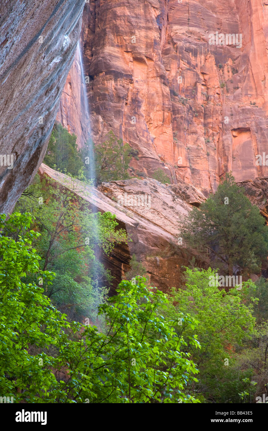 Lower emerald pool zion spring hi-res stock photography and images - Alamy