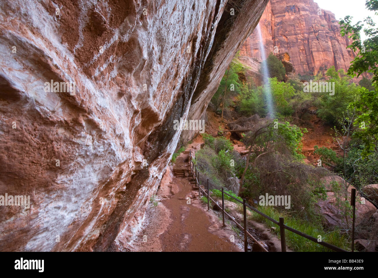 Utah, Zion National Park, trail and waterfall, at Lower Emerald Pool Stock Photo - Alamy