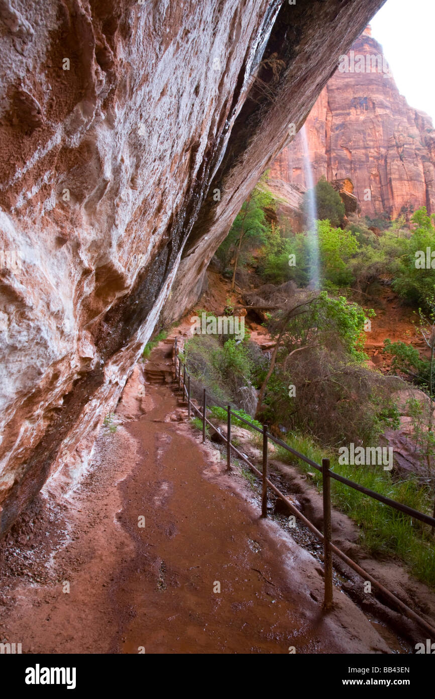 Lower emerald pool trail hi-res stock photography and images - Alamy