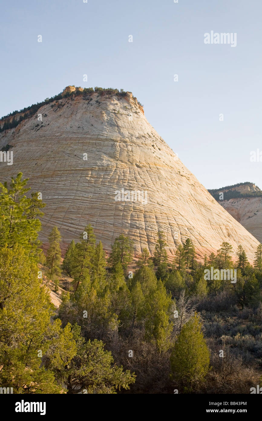 Utah, Zion National Park, Checkerboard Mesa, checkerboard pattern ...