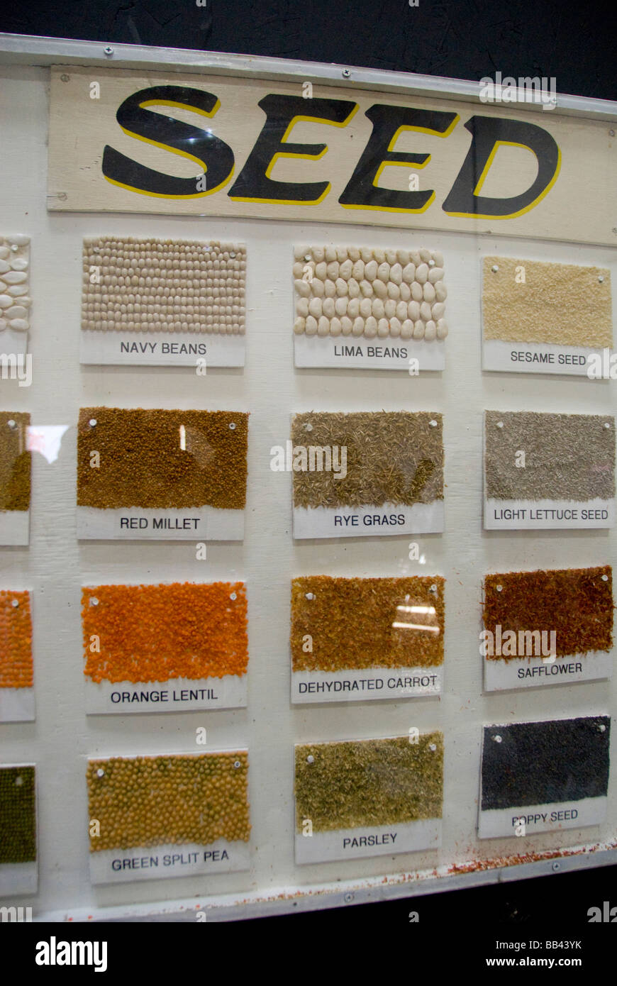 California, Pasadena. 2009 Tournament of Roses, Pre-parade float ...