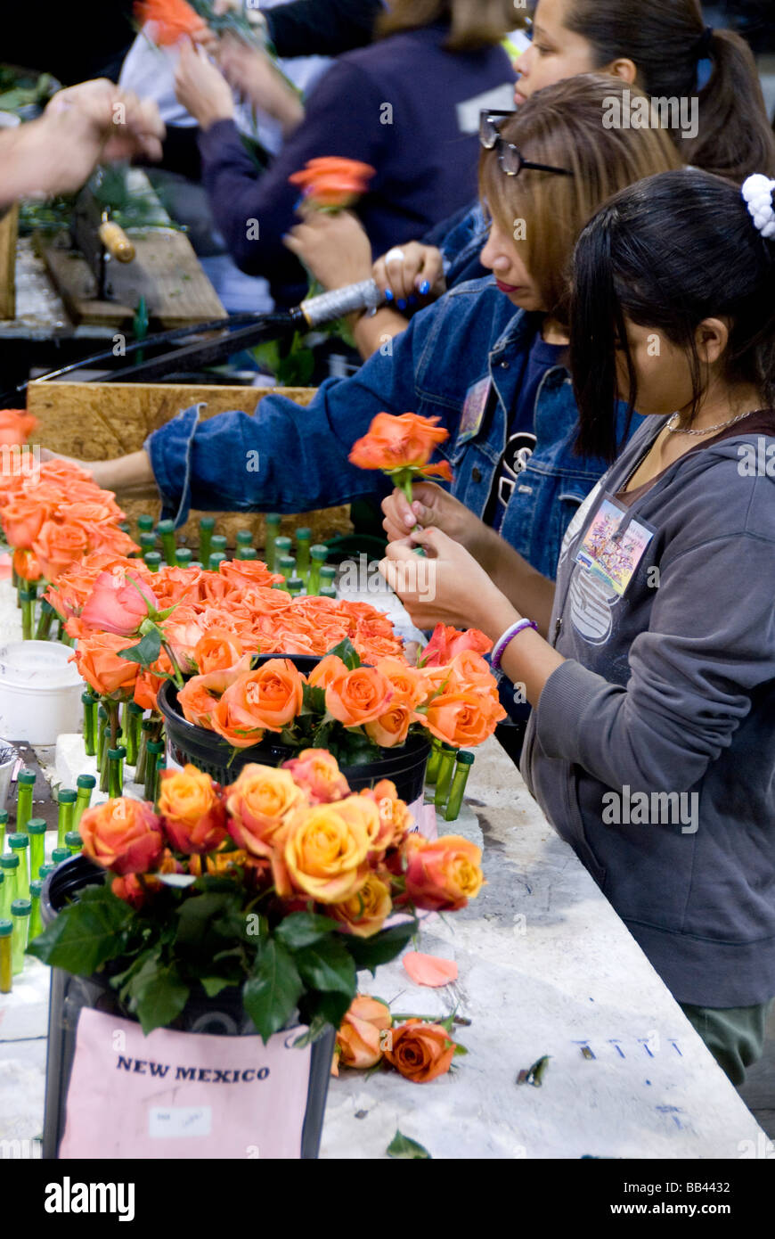 California, Pasadena. Tournament of Roses, Pre-parade float viewing ...
