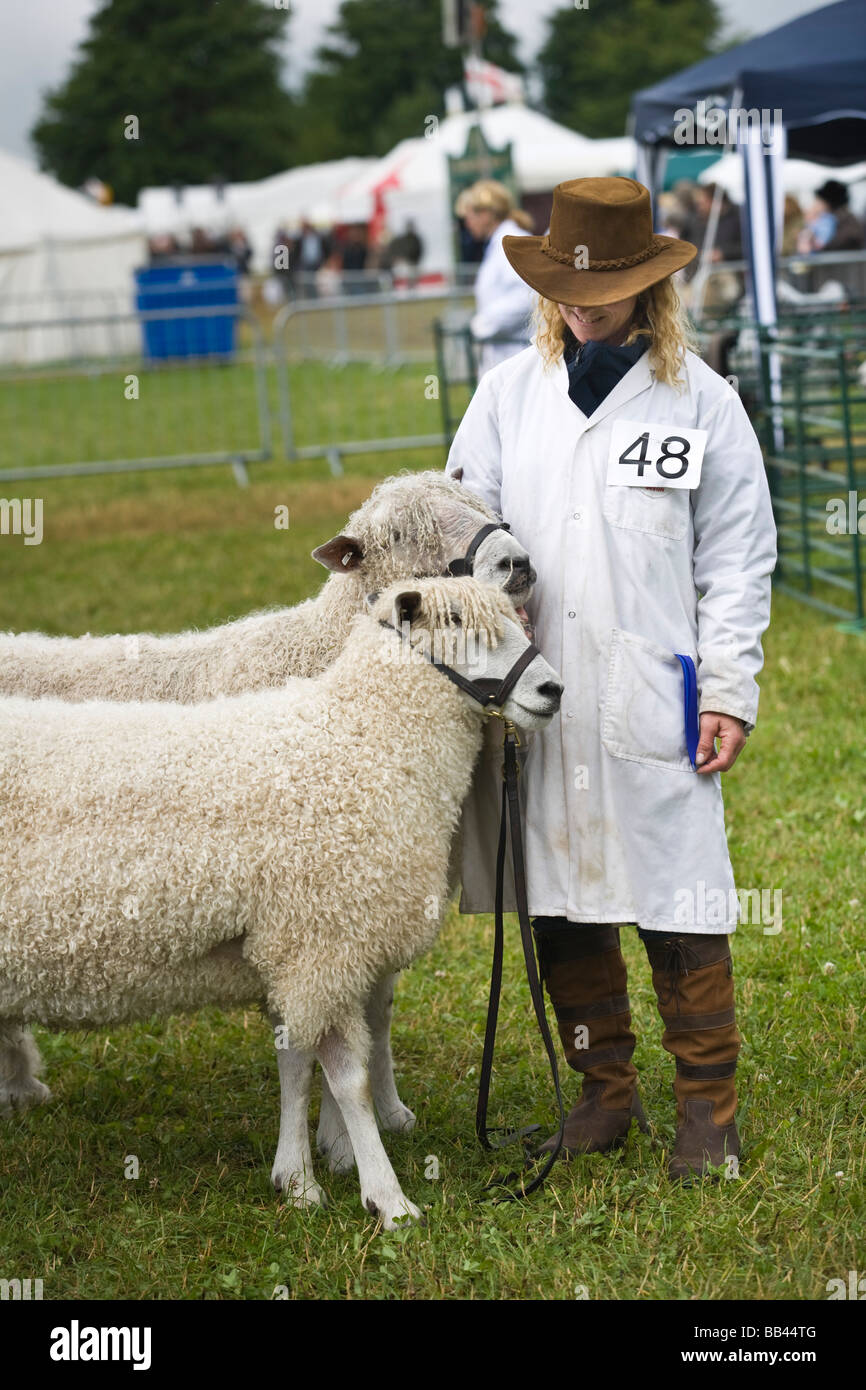 Cotswold Lion sheep & owner lined up for judging at a rural farm show ...