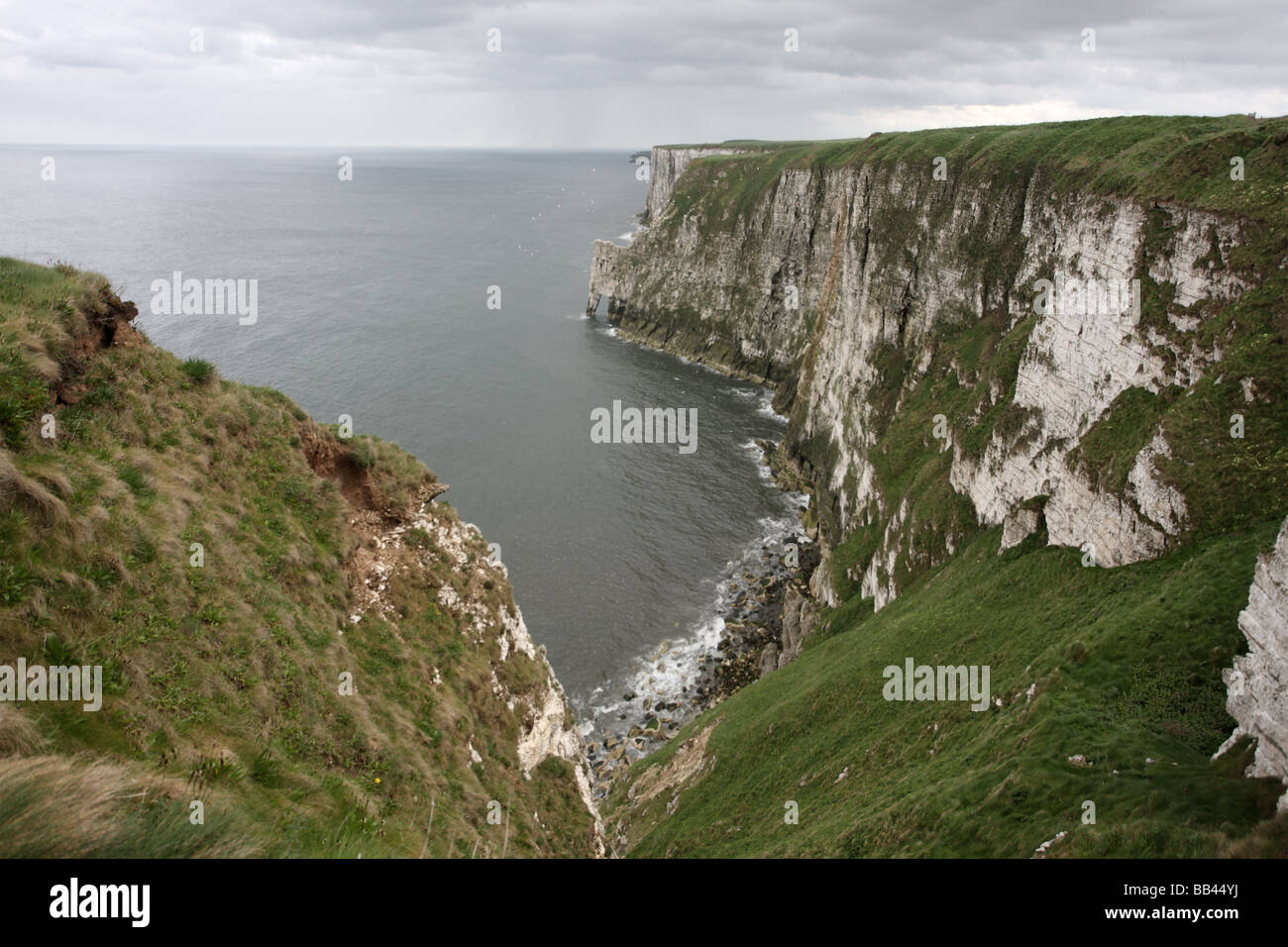 Bempton Cliffs RSPB reserve Yorkshire Stock Photo - Alamy