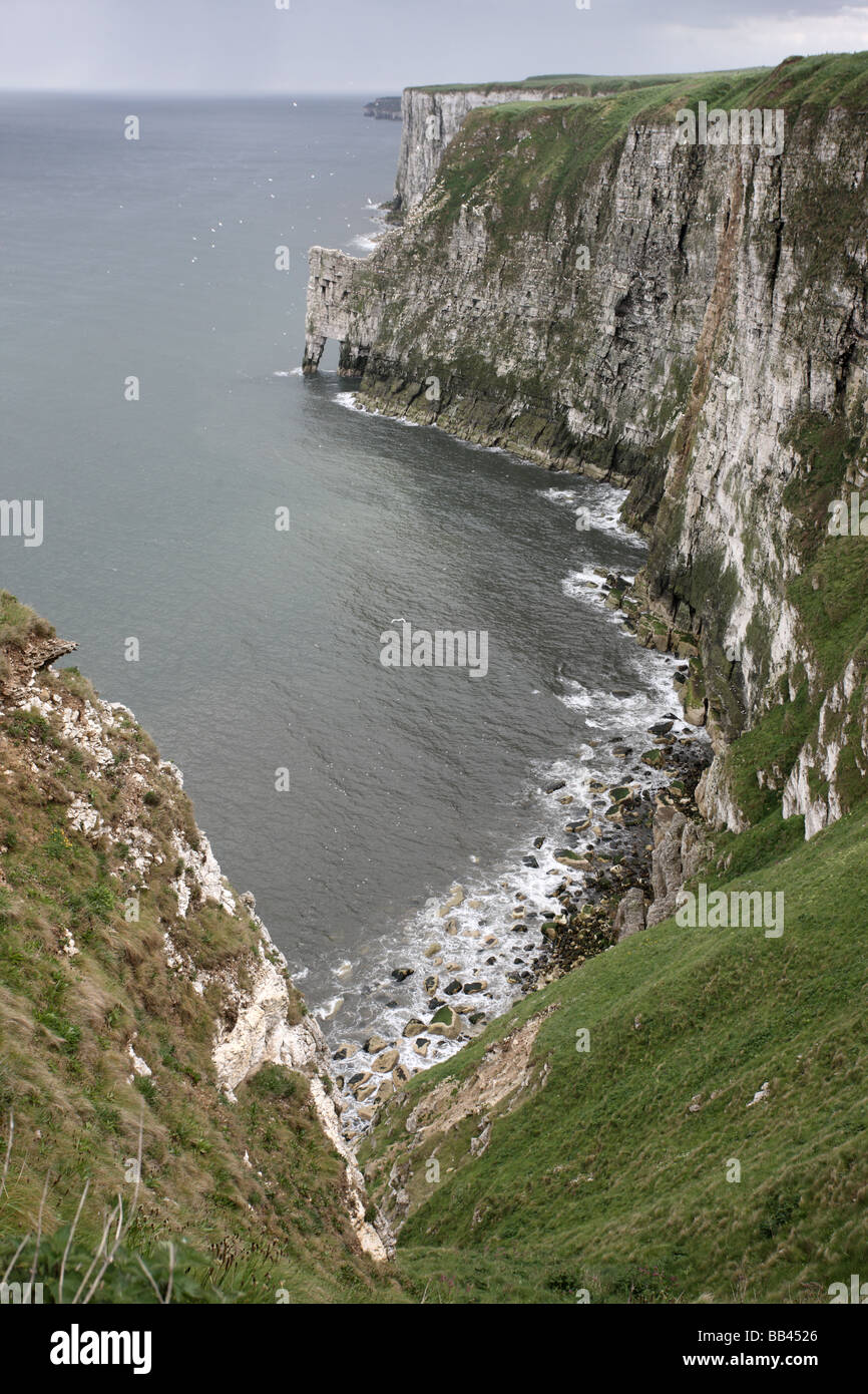 Bempton Cliffs RSPB reserve Yorkshire Stock Photo - Alamy