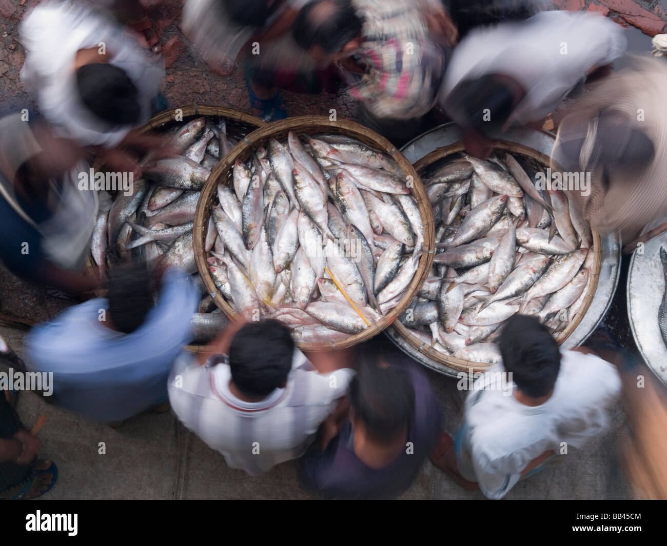 Fish market in dhaka bangladesh hi-res stock photography and images - Alamy