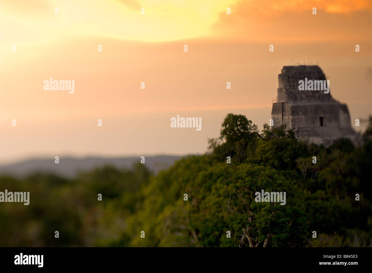 Sunset at Temple IV at the Mayan Ruins of Tikal, Guatemala Stock Photo ...