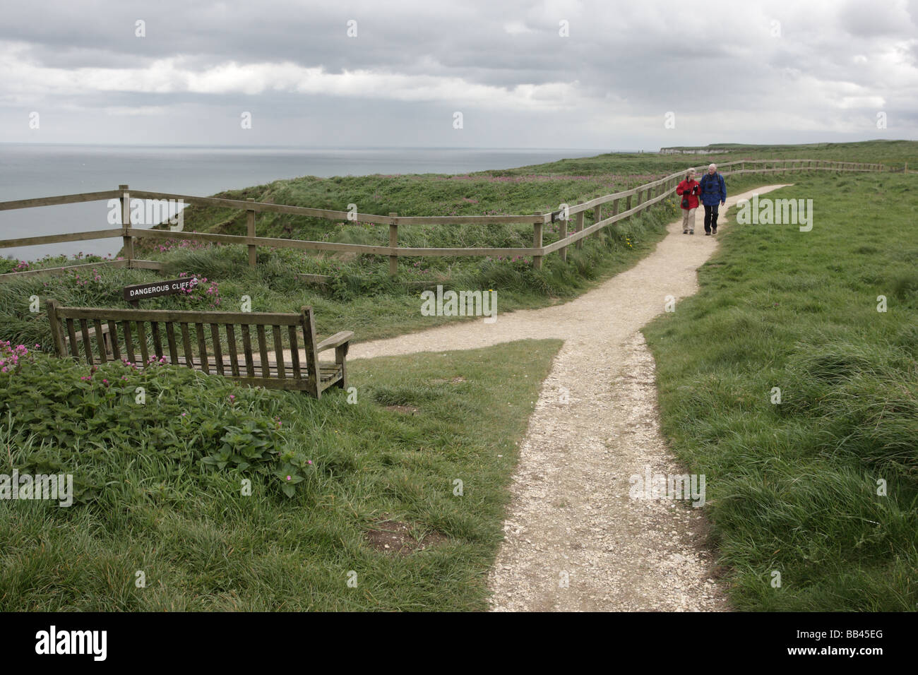 Bempton Cliffs RSPB reserve Yorkshire Stock Photo - Alamy