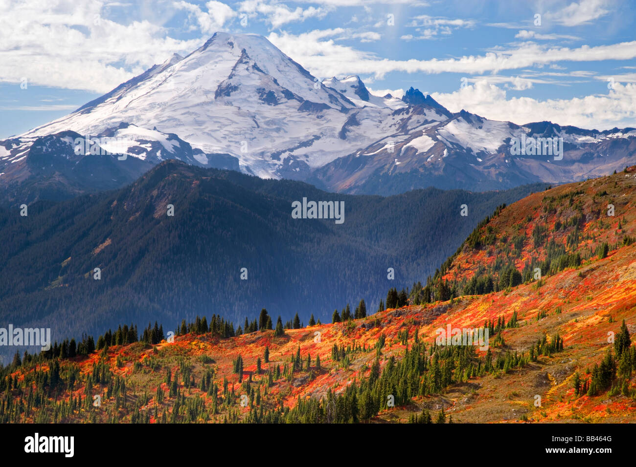 USA, Washington, Mount Baker Wilderness. View of Mount Baker from Yellow Aster Butte Trail Stock ...