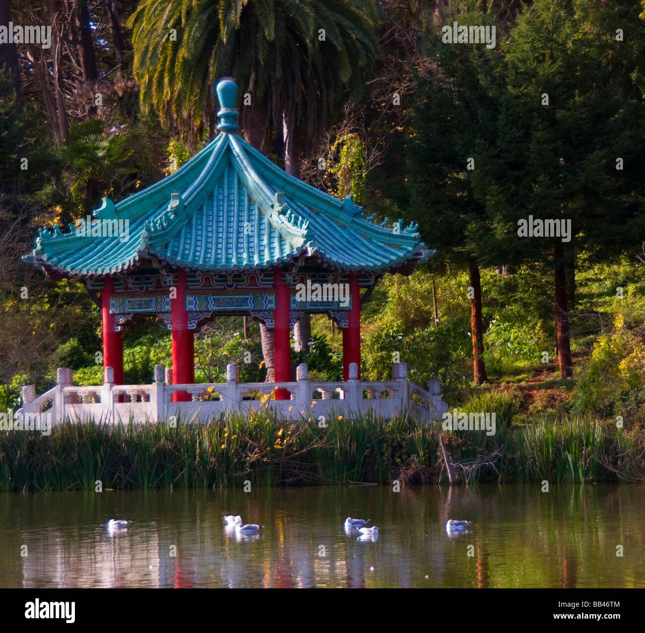 In San Francisco, Stow Lake with seagulls and rich greenery surround ...