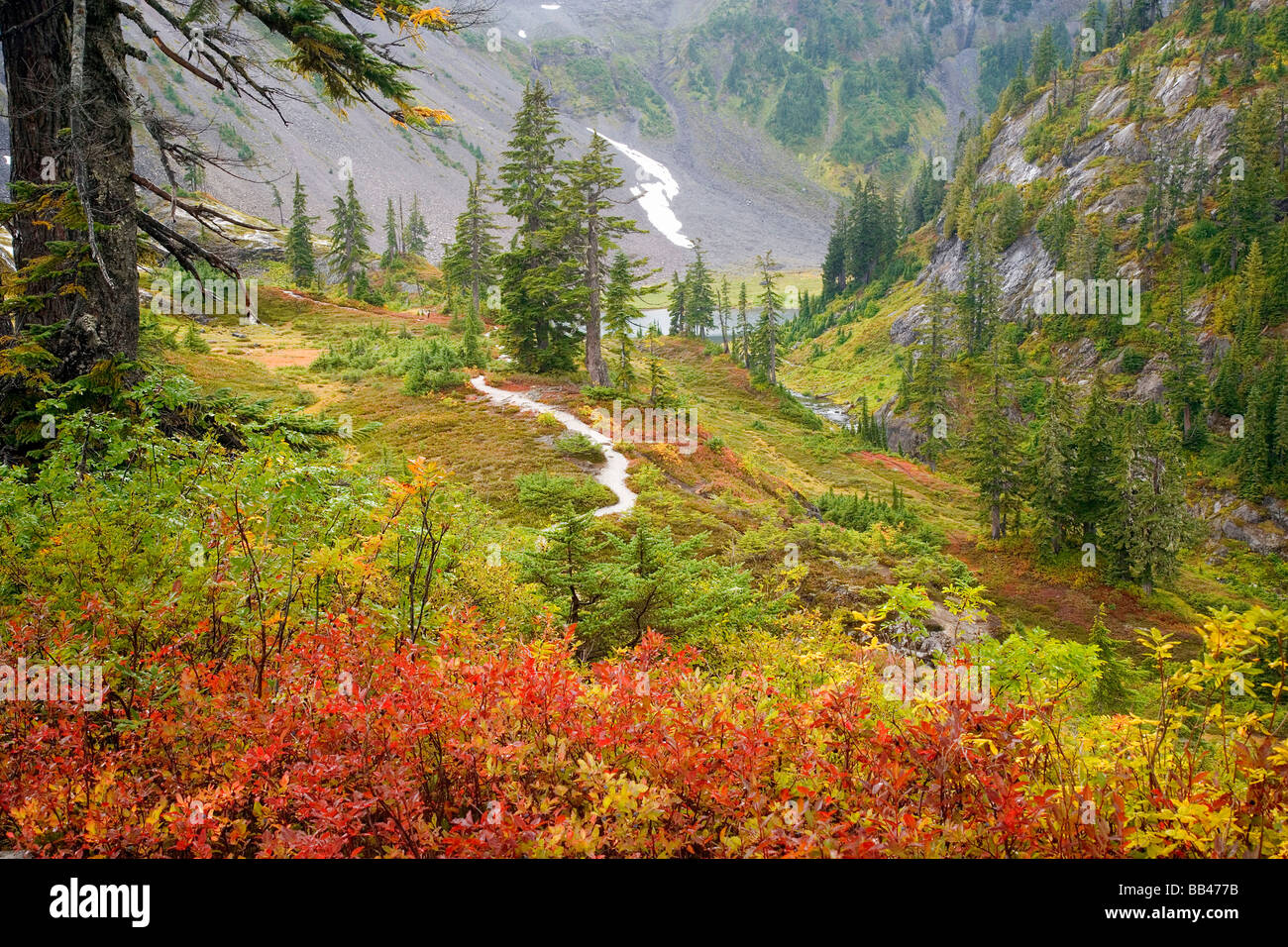 USA, Washington, Mount Baker Wilderness, Cascade Mountains. Autumn ...