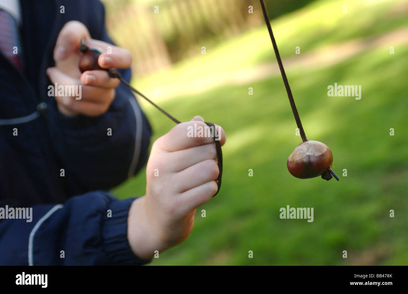 Playing conkers hi-res stock photography and images - Alamy