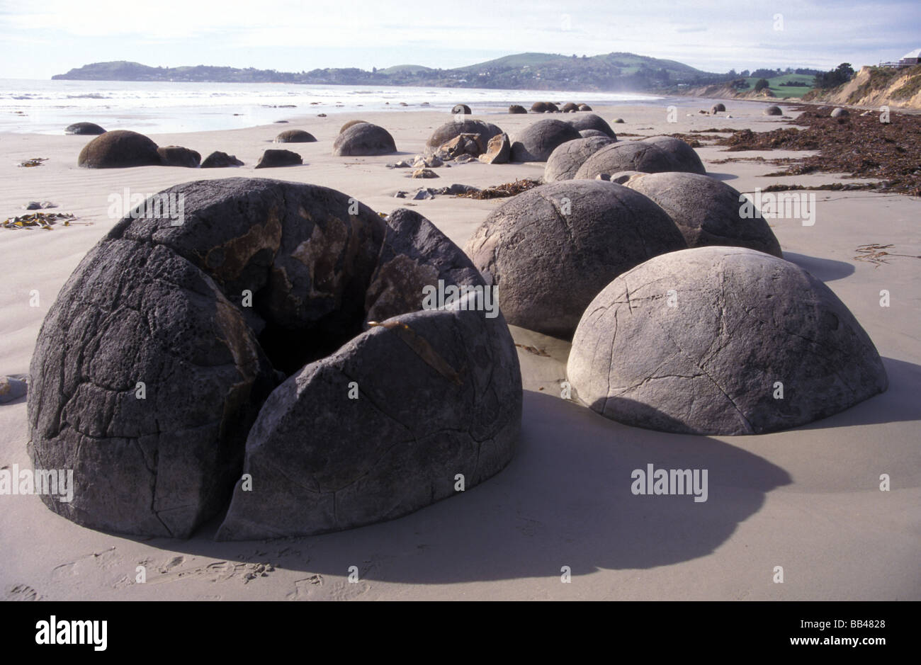 striking landforms large cracked eroded spherical stones Moeraki boulders Koekohe Beach South ...