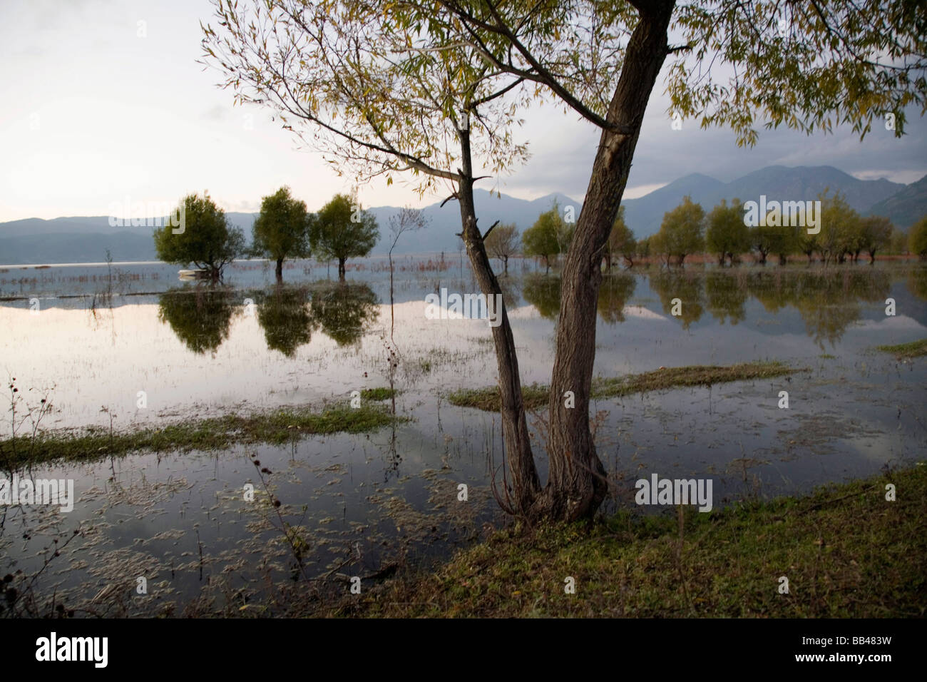 Lashi Lake in Yunnan Province, China Stock Photo - Alamy