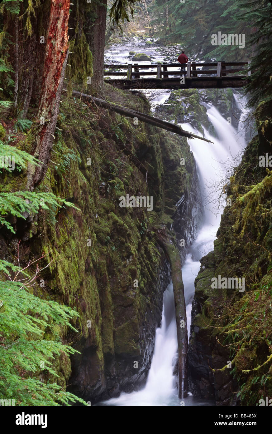 Sol duc falls bridge hi-res stock photography and images - Alamy